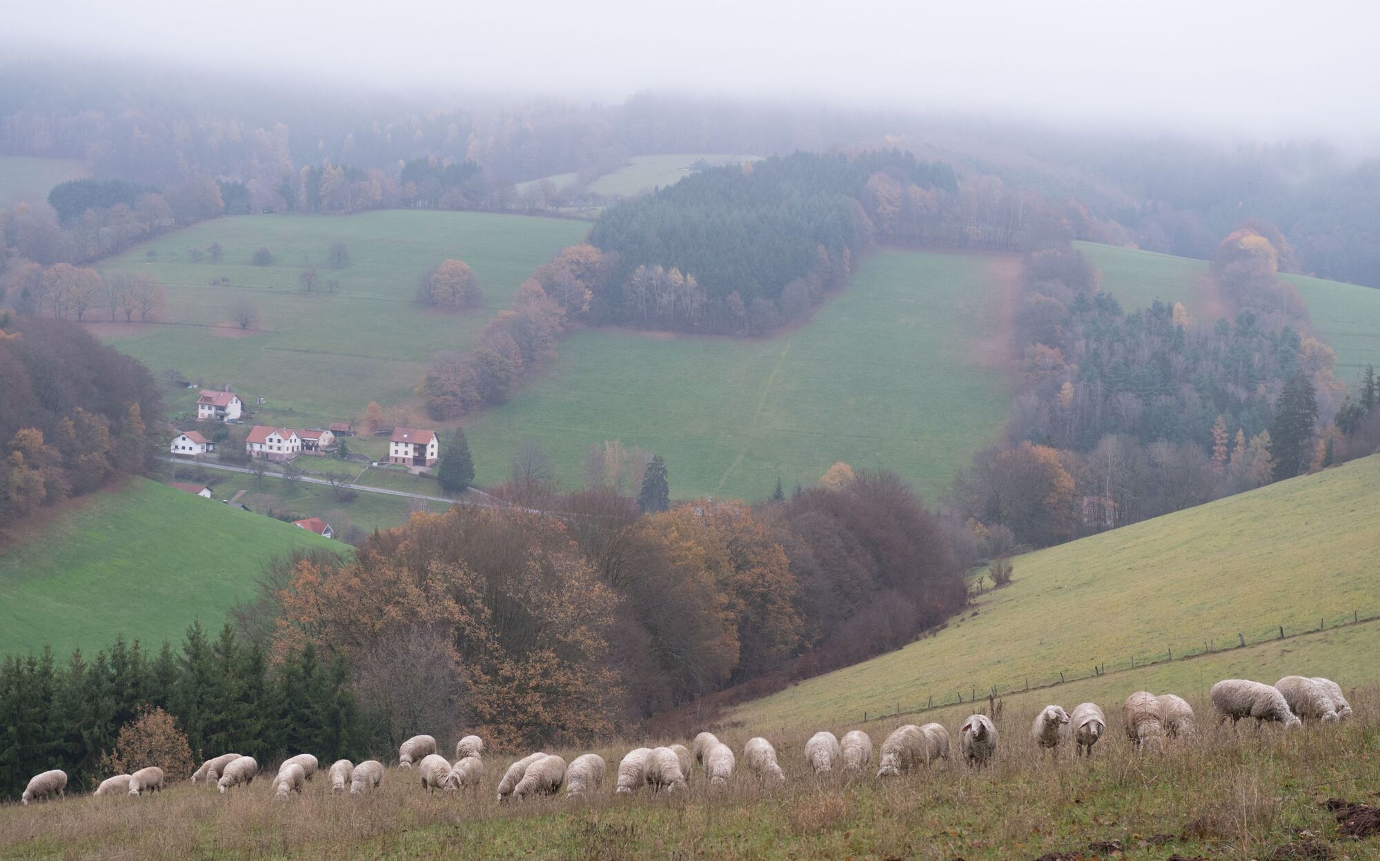 Verzauberte Landschaft: Dreiklang der Wanderrunde um Beerfelden im ... Verzauberte Landschaft: Dreiklang der Wanderrunde um Beerfelden im ...