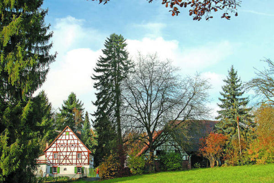 Mosbach-Lohrbach: Die Holzwiesen sind in trockenen Tüchern - Neckartal ... Mosbach-Lohrbach: Die Holzwiesen sind in trockenen Tüchern - Neckartal ...