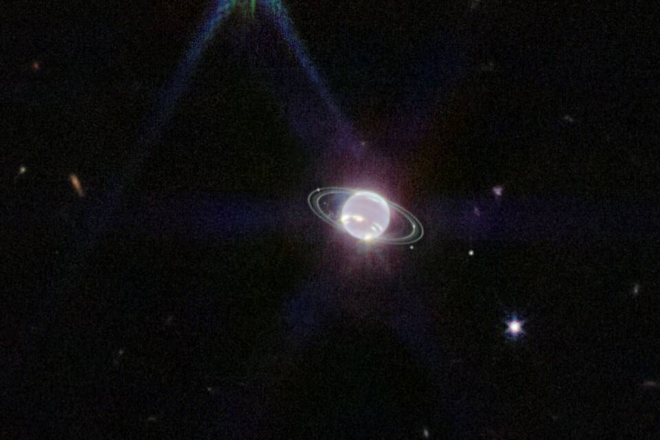 Astronomie: Aufnahmen von «James Webb» zeigen Ringe des Neptun - Wissen ...