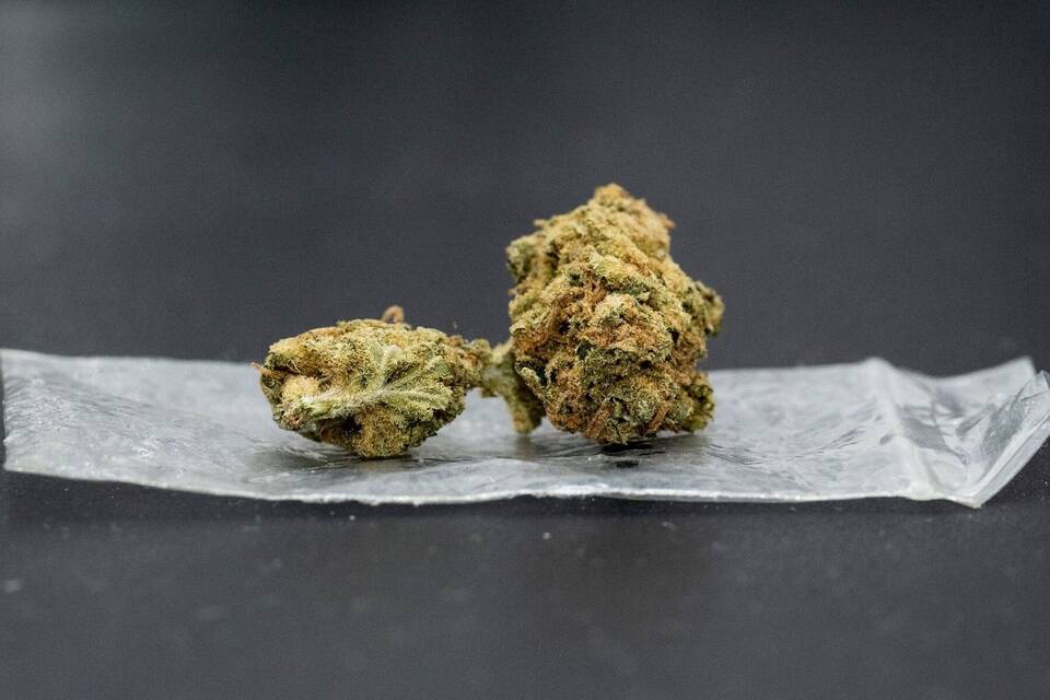 Drogen: Luxemburg erlaubt privaten Anbau und Konsum von Cannabis ... Drogen: Luxemburg erlaubt privaten Anbau und Konsum von Cannabis ...