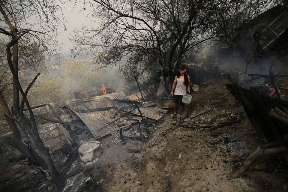 Klima: Waldbrände in Algerien - Zahl der Toten gestiegen - Panorama ...