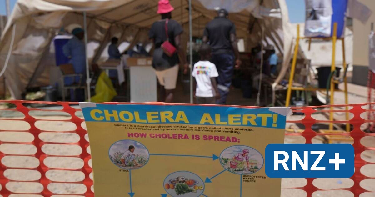 Unicef: Besorgniserregender Cholera-Ausbruch im südlichen Afrika - Wissen - Rhein-Neckar-Zeitung