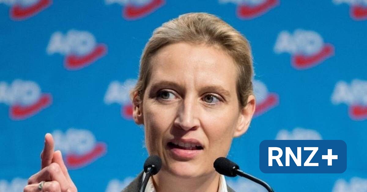 Weidel in Erklärungsnot: Wer steckt hinter der spendablen Stiftung ... Weidel in Erklärungsnot: Wer steckt hinter der spendablen Stiftung ...