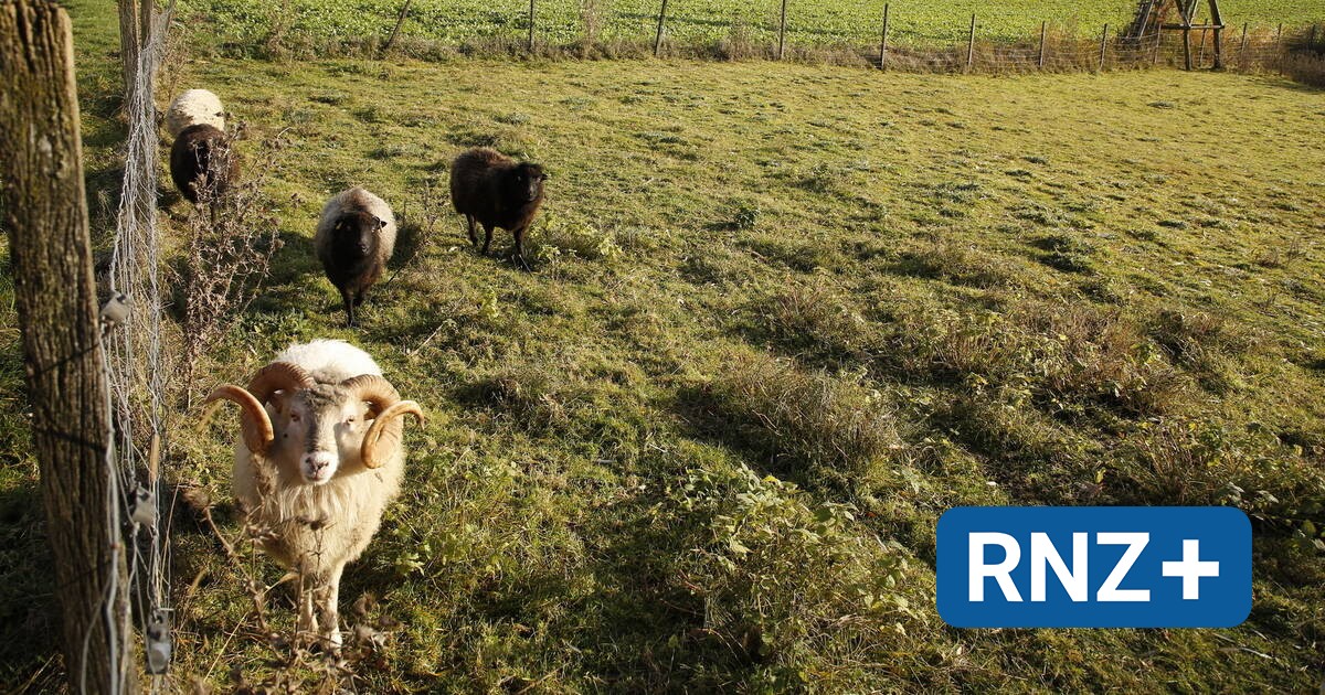 Wiesloch: Bauern und Stadt stehen im Dialog - Rhein-Neckar ... Wiesloch: Bauern und Stadt stehen im Dialog - Rhein-Neckar ...